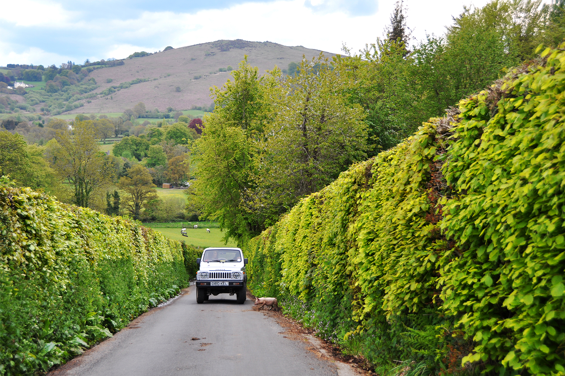 Driving Europe’s Open Road by Rick Steves