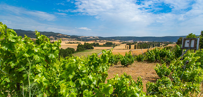 Slideshow: Basque Country of Spain & France | Rick Steves' Europe